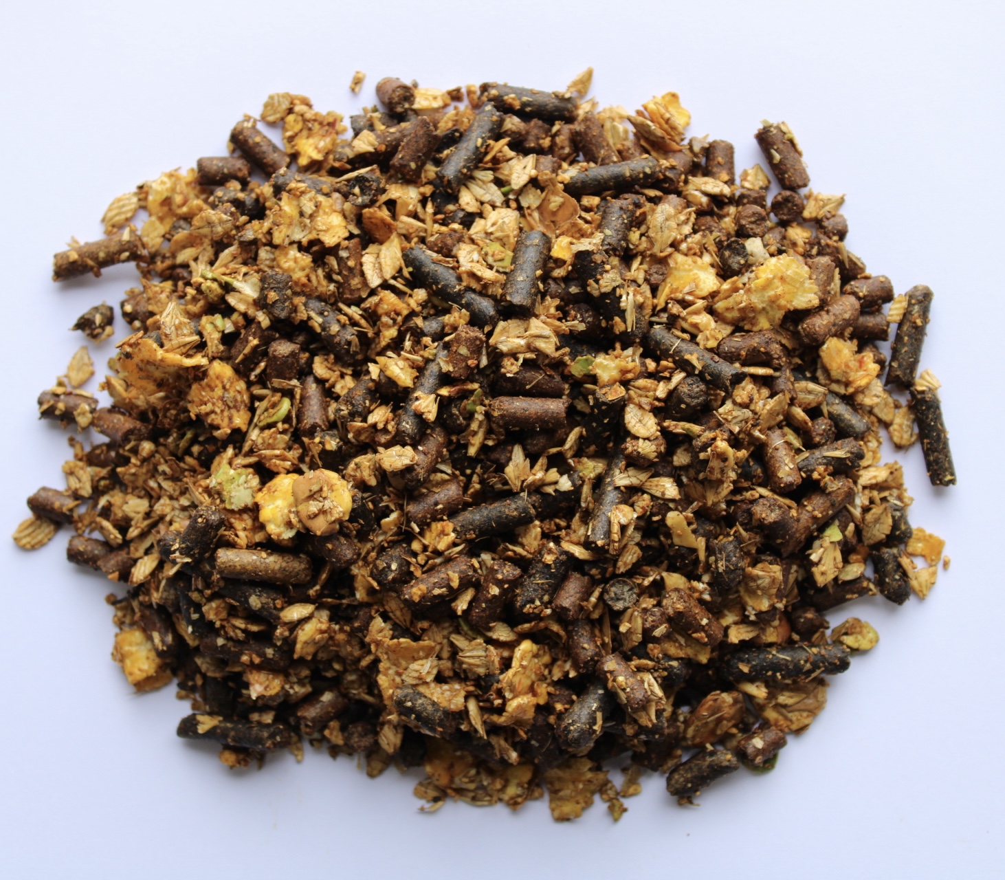 Beef | Davidsons Feeds