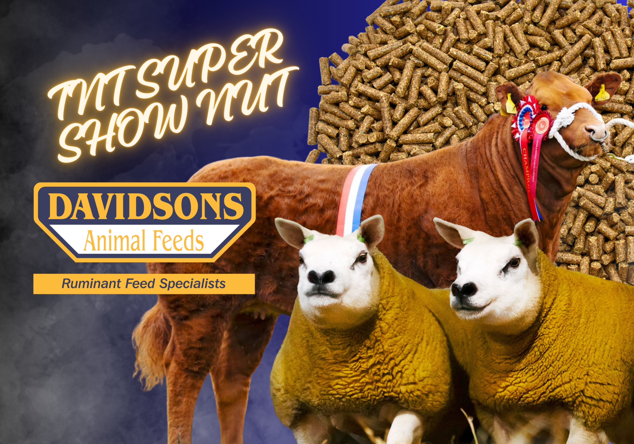 Beef | Davidsons Feeds
