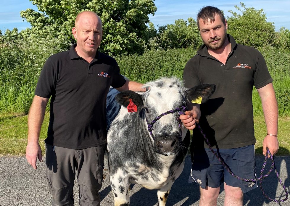 Bespoke product improves embryo transfer rates at Solway View ...